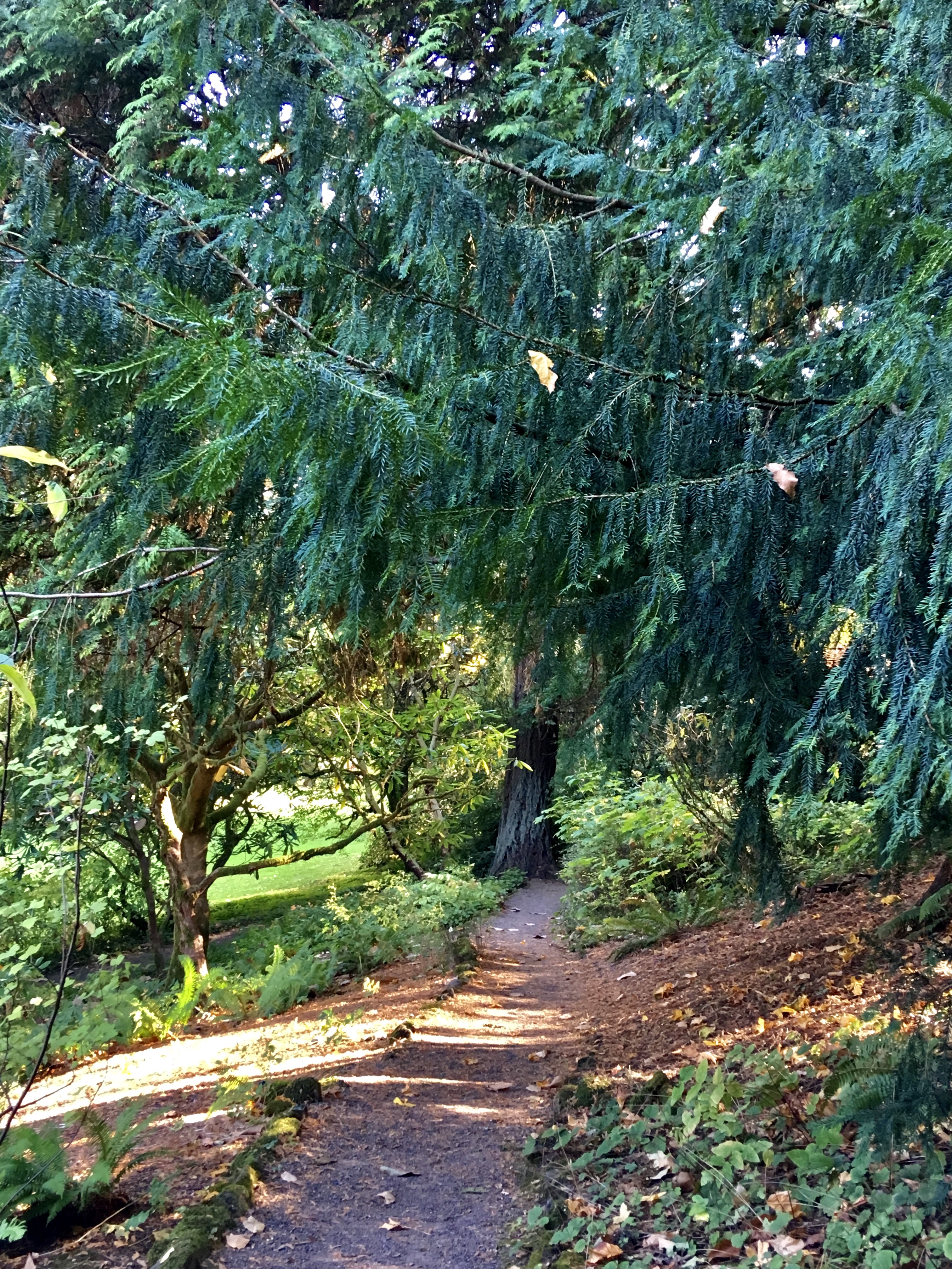 Elk Rock Gardens – Travels Through My Lens