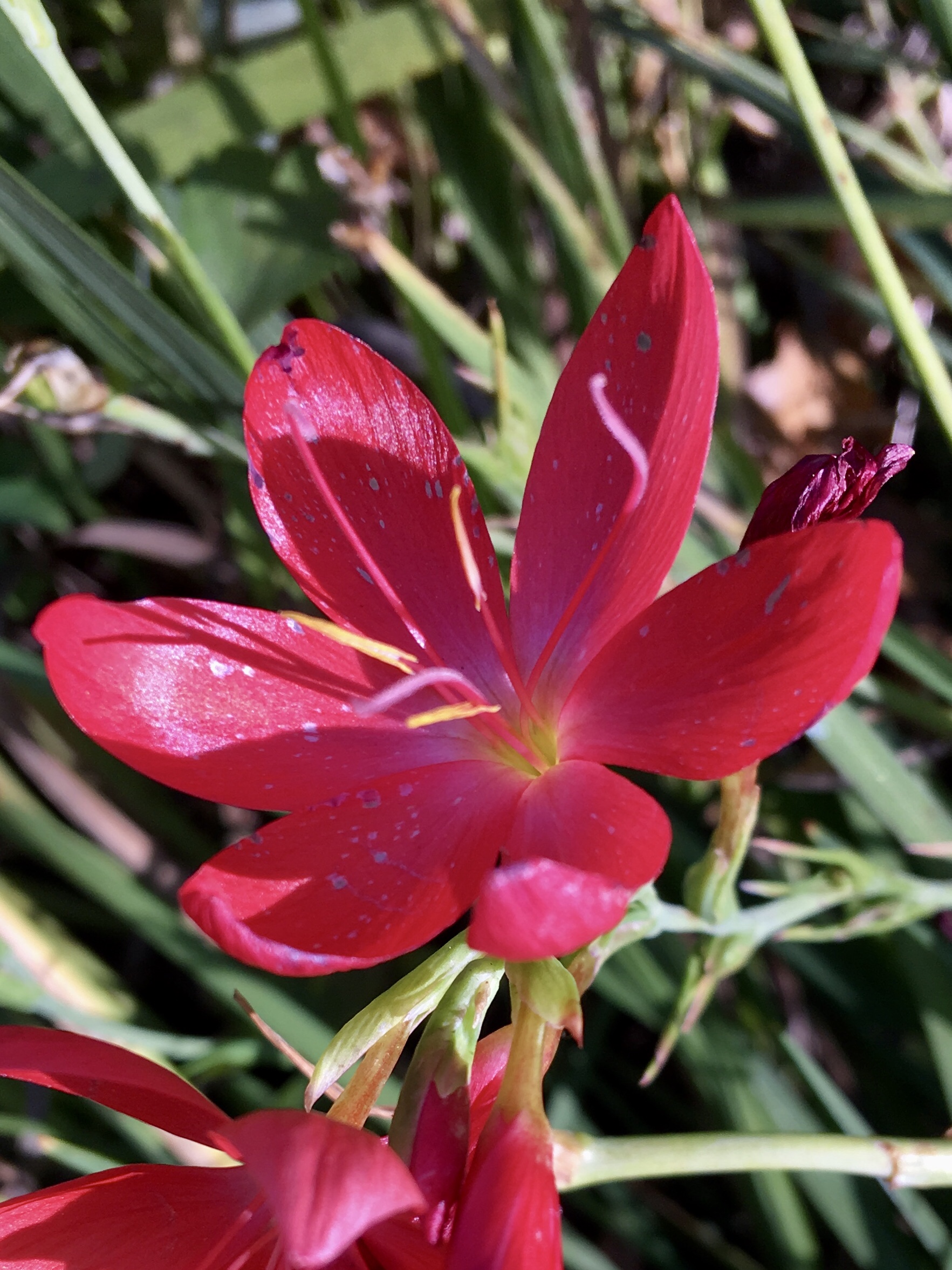 Elk Rock Gardens – Travels Through My Lens