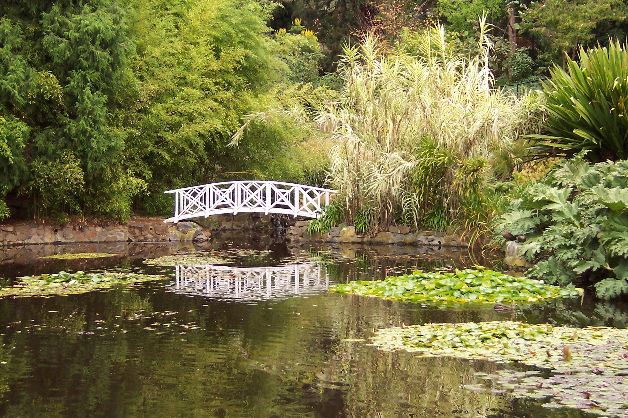 Royal Tasmanian Botanical Gardens – Travels Through My Lens