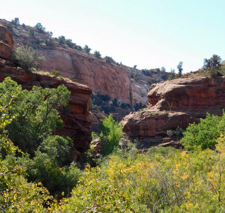 The Beautiful and Terrifying Hogback – Travels Through My Lens