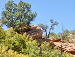 The Beautiful and Terrifying Hogback – Travels Through My Lens