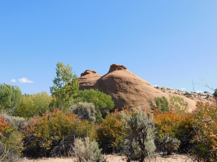 The Beautiful and Terrifying Hogback – Travels Through My Lens
