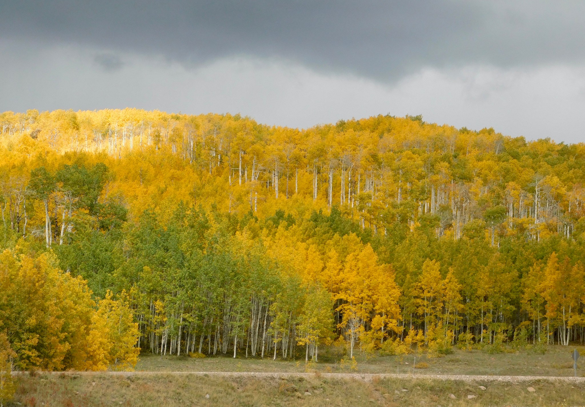 The Beautiful and Terrifying Hogback – Travels Through My Lens