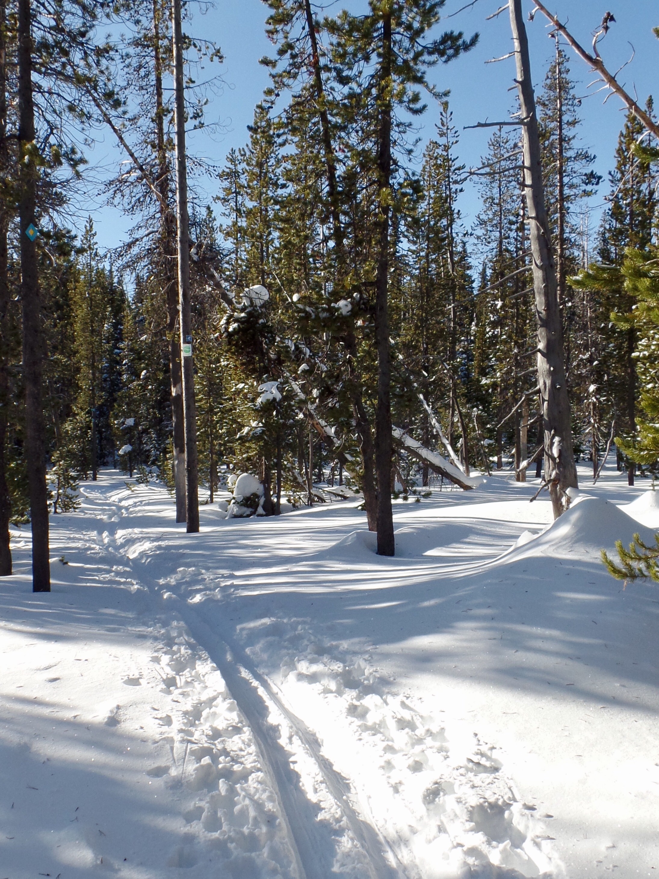 Snowy Holidays – Travels Through My Lens