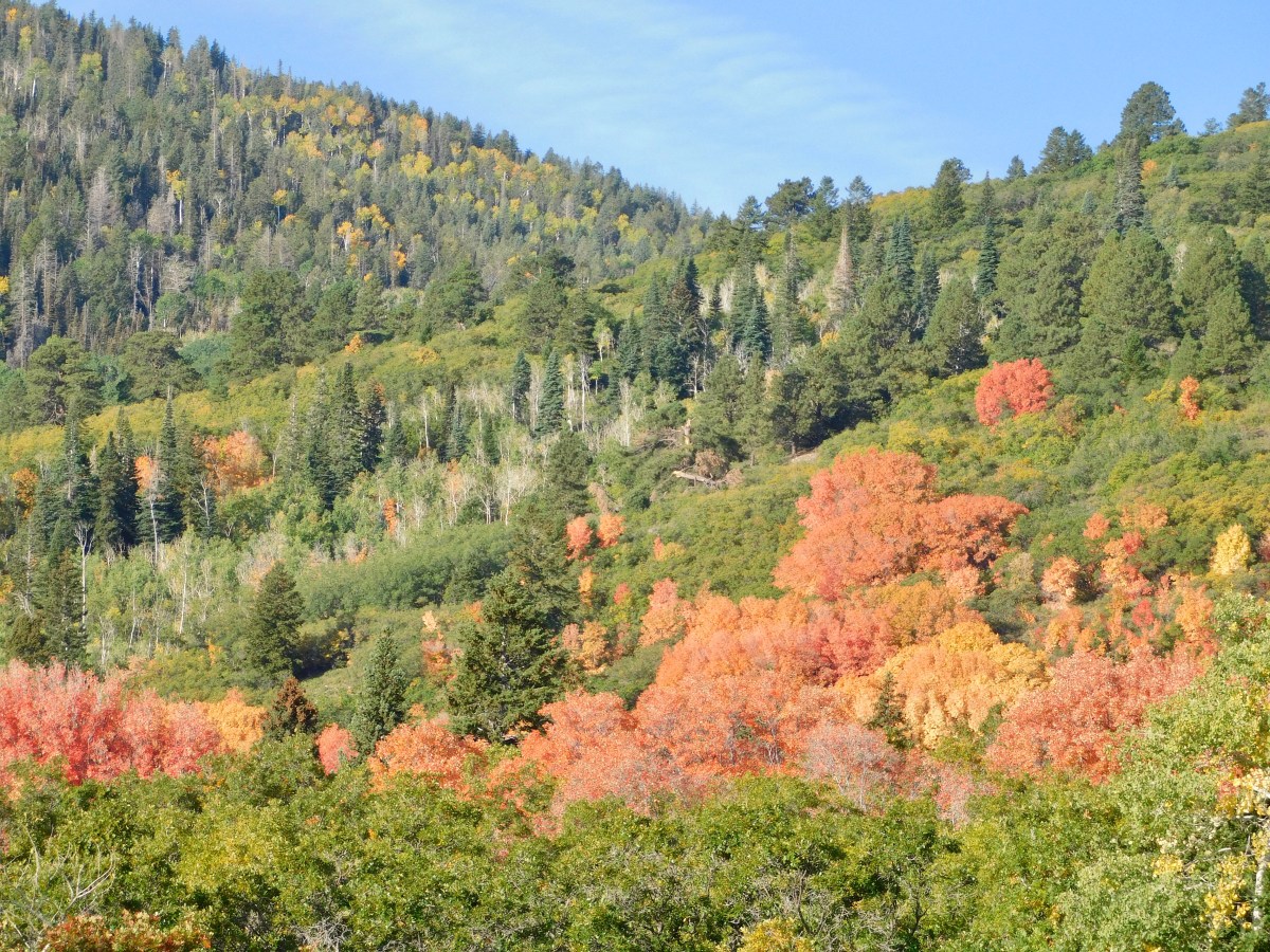 Utah and Colorado National Parks and Monuments – Travels Through My Lens