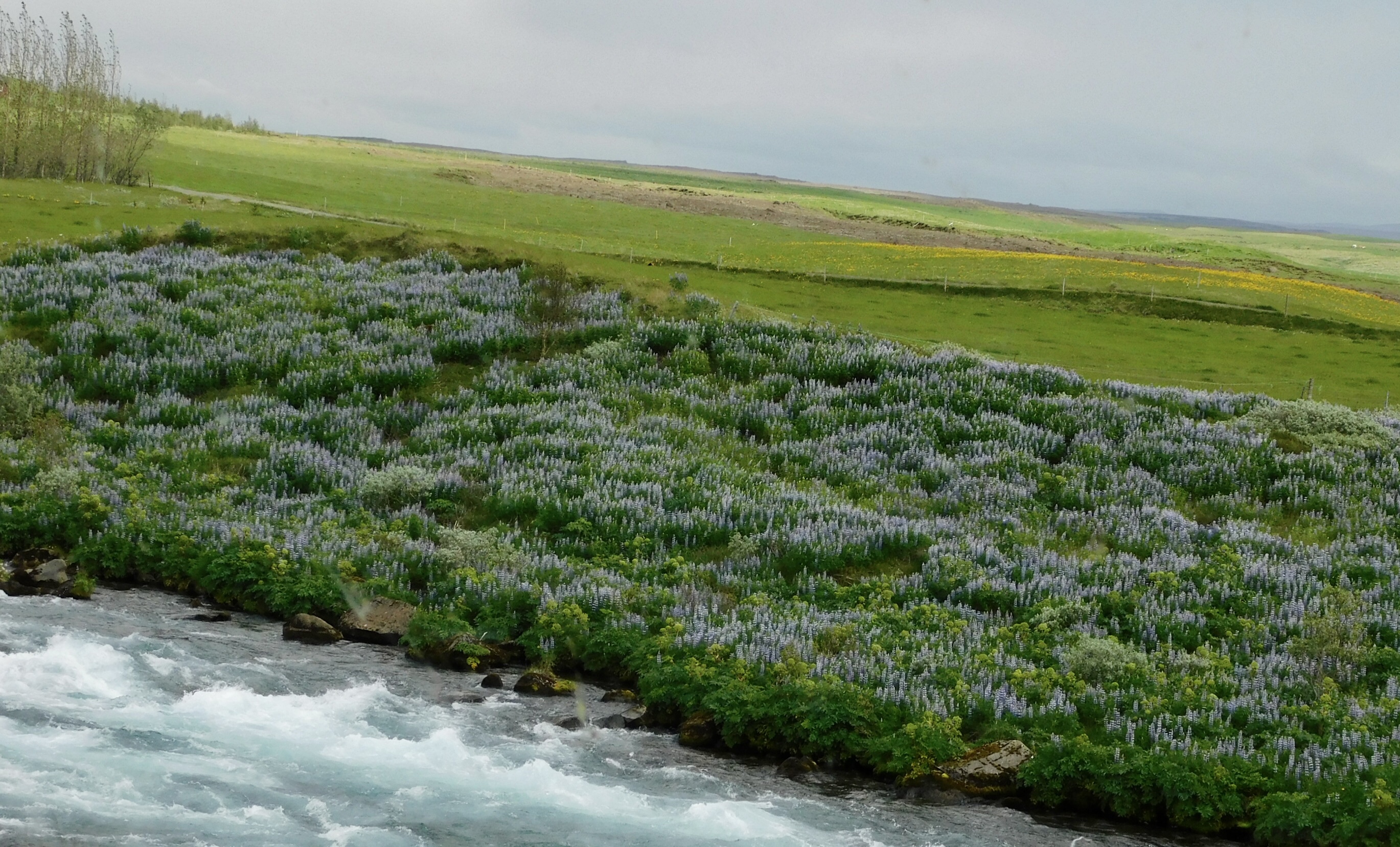 The Golden Circle, Iceland – Travels Through My Lens
